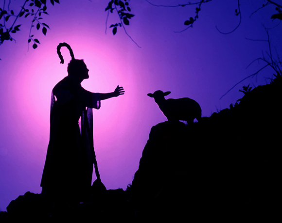 Our Story | Sight & Sound